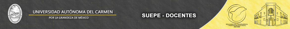 SUEPE WEB
